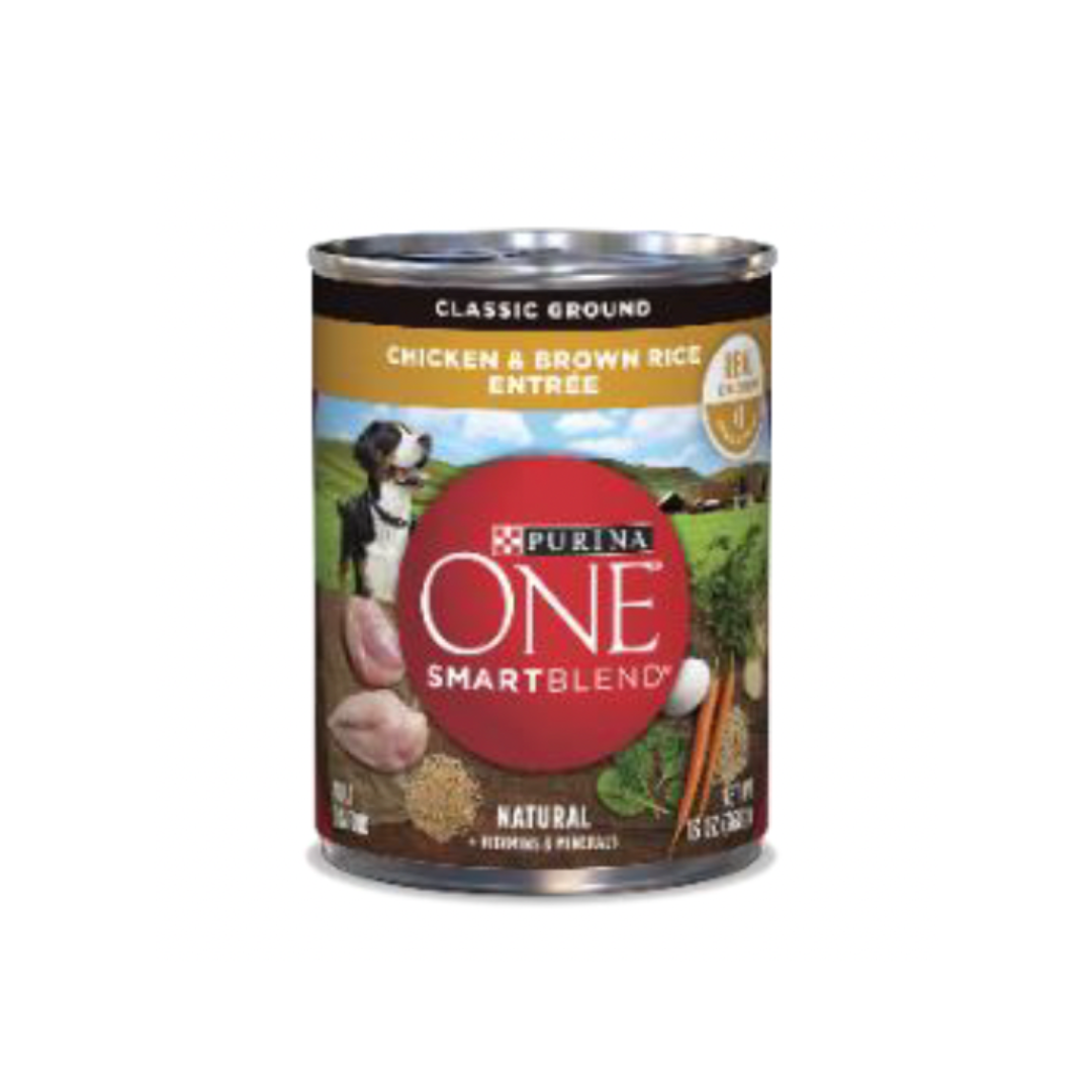 Purina One Dog Chicken & Brown Rice Classic 368g – Aiton Drug Co